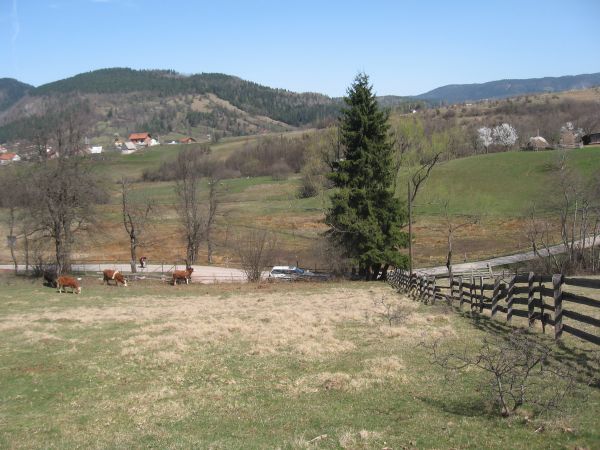 Plac, Pale, Mokro, Kracule – Nekretnine Pale- VUK 065/174-424 065/341-785