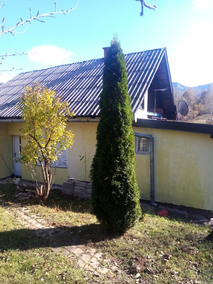 VIKENDICA- MOKRO, BREZIK – Nekretnine Pale- VUK 065/174-424 065/341-785